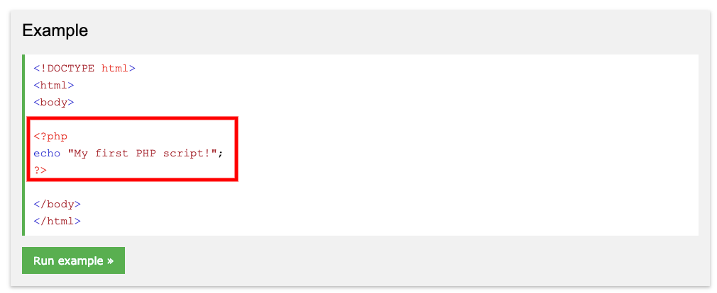 WordPress developer skills you should master
