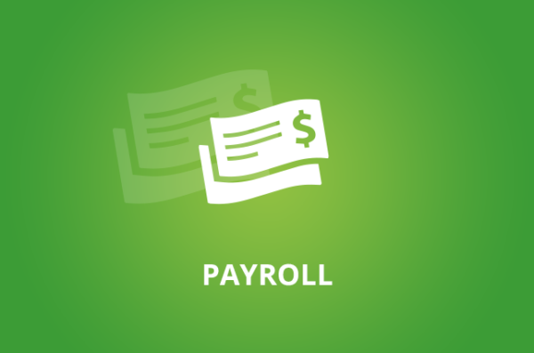 The Complete Payroll User Guide of WP ERP - An Automated Salary Management System